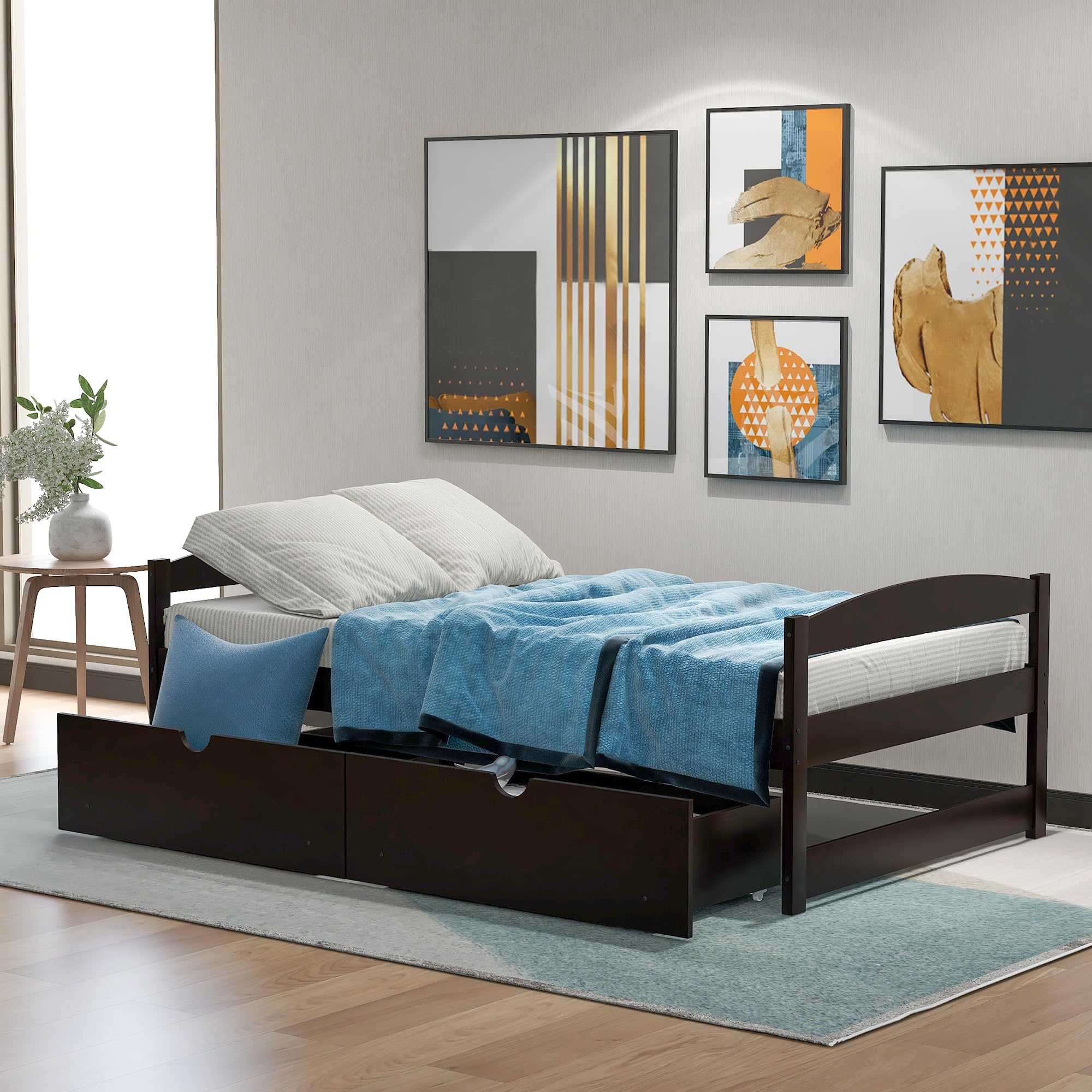 Lifeand Twin Size Daybed with 2 Drawers,Wood Storage Platform Bed for Kids Teens and Adults,No Box Spring Needed,Espresso