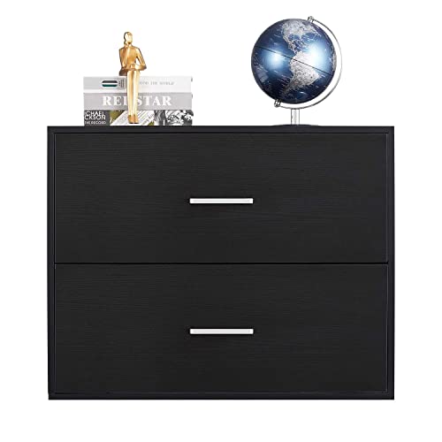 GEDELITE Wooden Lateral File Cabinet with 2 Drawer, Sliver Handle Office Storage Filing Cabinet for Legal/Letter/A4 File,16.54" D x 30.31" W x 24" H,Black