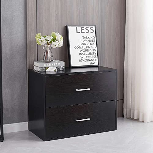 GEDELITE Wooden Lateral File Cabinet with 2 Drawer, Sliver Handle Office Storage Filing Cabinet for Legal/Letter/A4 File,16.54" D x 30.31" W x 24" H,Black