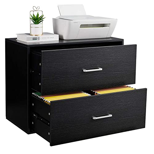 GEDELITE Wooden Lateral File Cabinet with 2 Drawer, Sliver Handle Office Storage Filing Cabinet for Legal/Letter/A4 File,16.54" D x 30.31" W x 24" H,Black