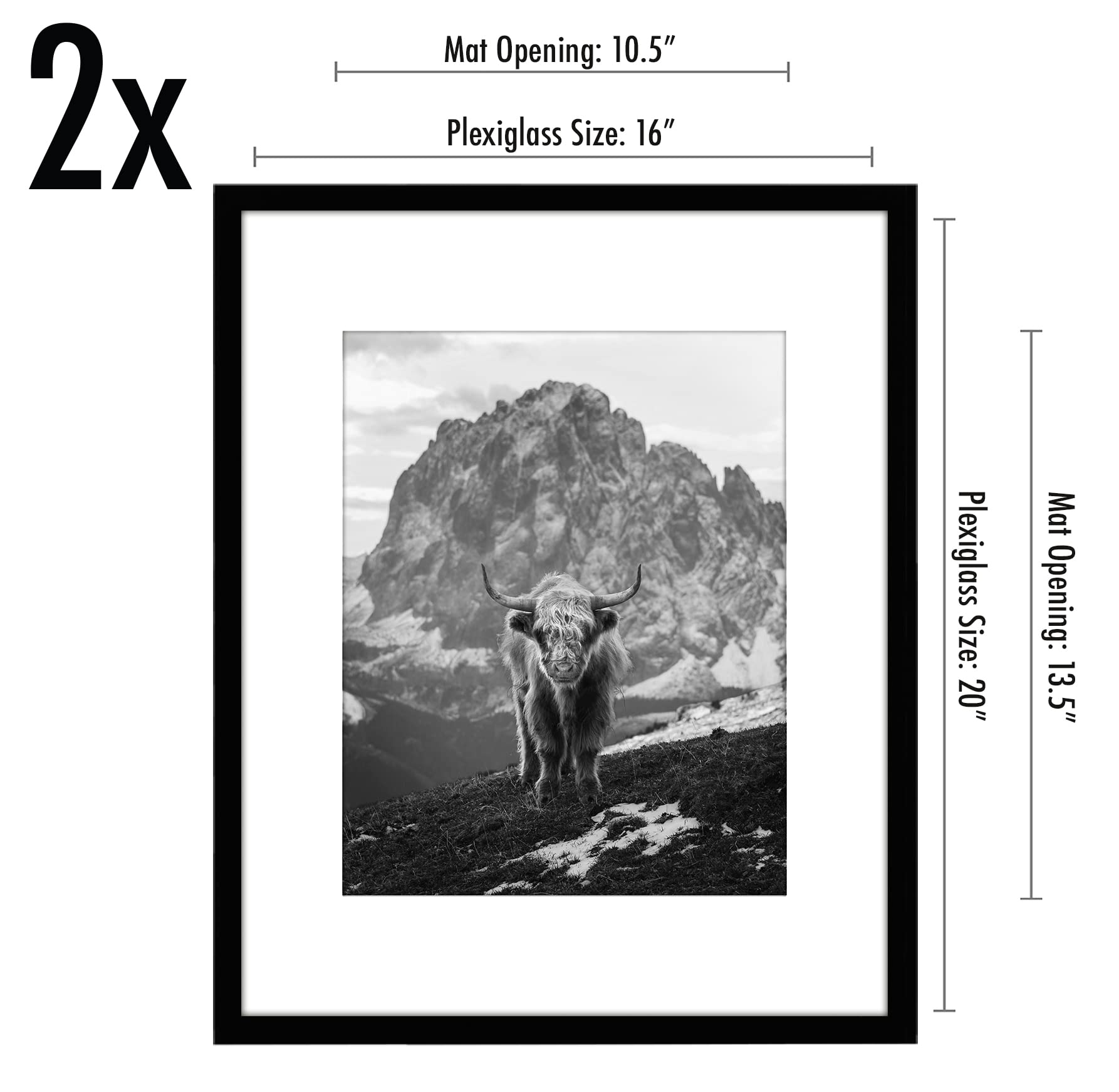 Americanflat 16x20 Picture Frame with Polished Plexiglass - Set of 2 - Use as 11x14 Frame with Mat or 16x20 Frame Without Mat - Galleria Collection - Photo Frames for Wall Display - Black