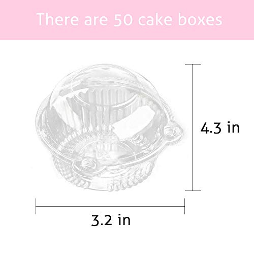 Cupcake Holders Individual,50 PC Cupcake Containers Disposable Clear Plastic Single Muffin Dome Holders Cases Individual Cupcake Boxes Bulk (white, 50 pcs)