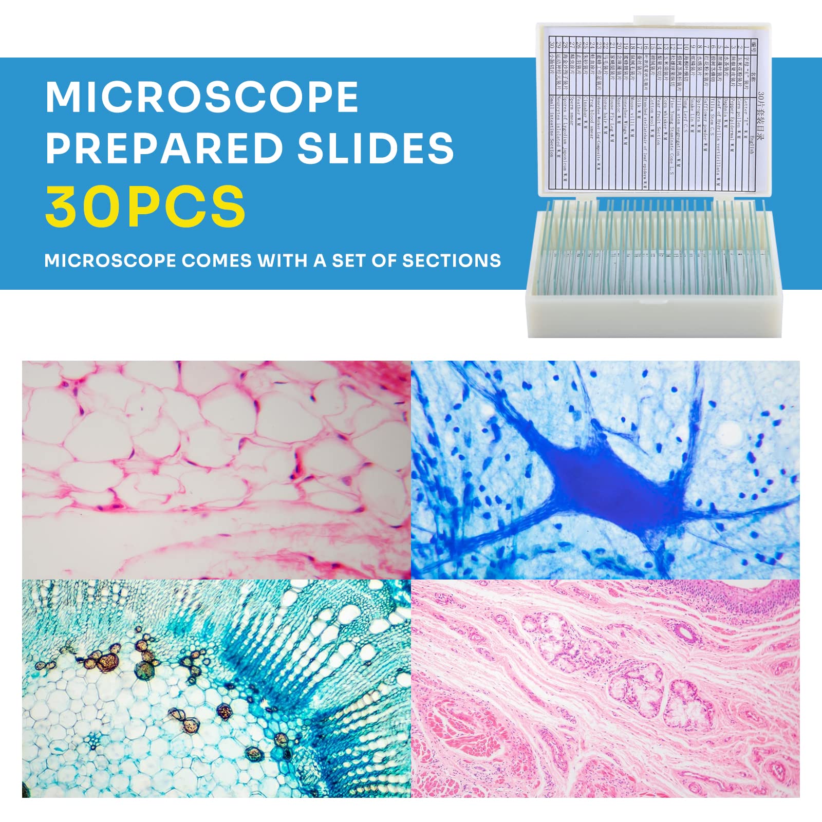 Crspexil 40X-2000X Microscopes for Kids Students Adults, with Microscope Prepared Slides 30p, Microscope Accessories, Phone Adapter, Microscopes for School Laboratory Home Education
