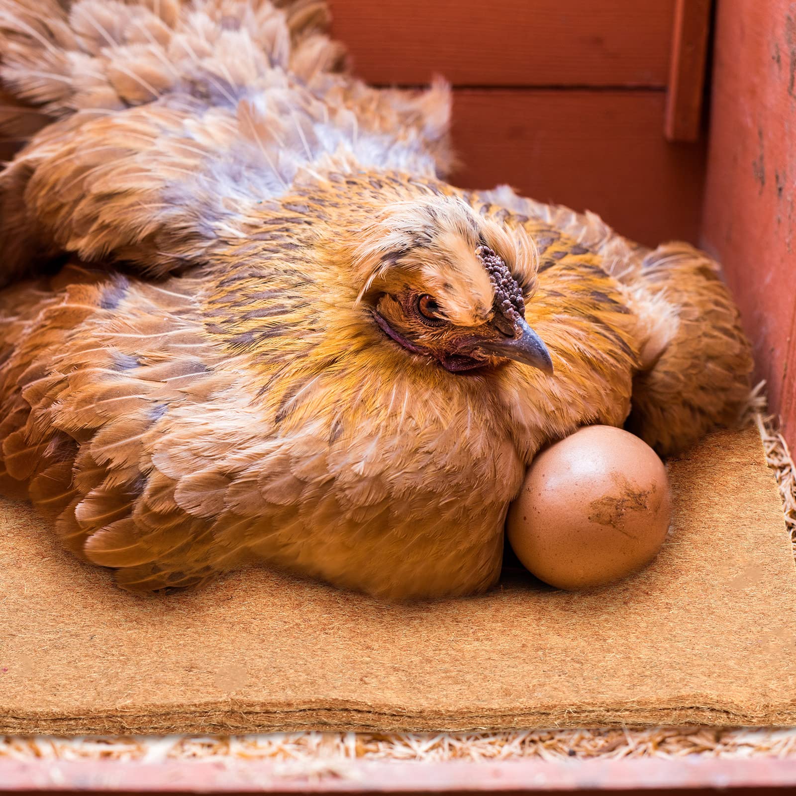 Aoriher 24 Pack Natural Hemp Chicken Nesting Pads Reusable Hens Nest Bedding Mats Chicken Nesting Box Liners for Hen Laying Eggs, Coop Pet Garden Lawn Indoor Outdoor, 11.8 x 11.8 Inches