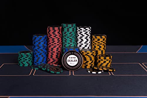 PLAYWUS Clay Poker Chips Set, Professional Poker Set with 300 Pcs 13 Gram Blank Chips, Cards, and Dice, Poker Set Aluminum Alloy Case for Texas Holdem, Blackjack Gambling