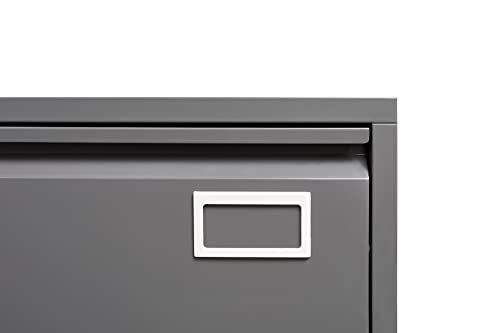Aybihous3 File Cabinet with Digital Lock, Stainless Steel Full Metal Lateral File Cabinet,Heavy Duty Metal Storage Printer Stand for Home and Office (Black 1 Drawer)