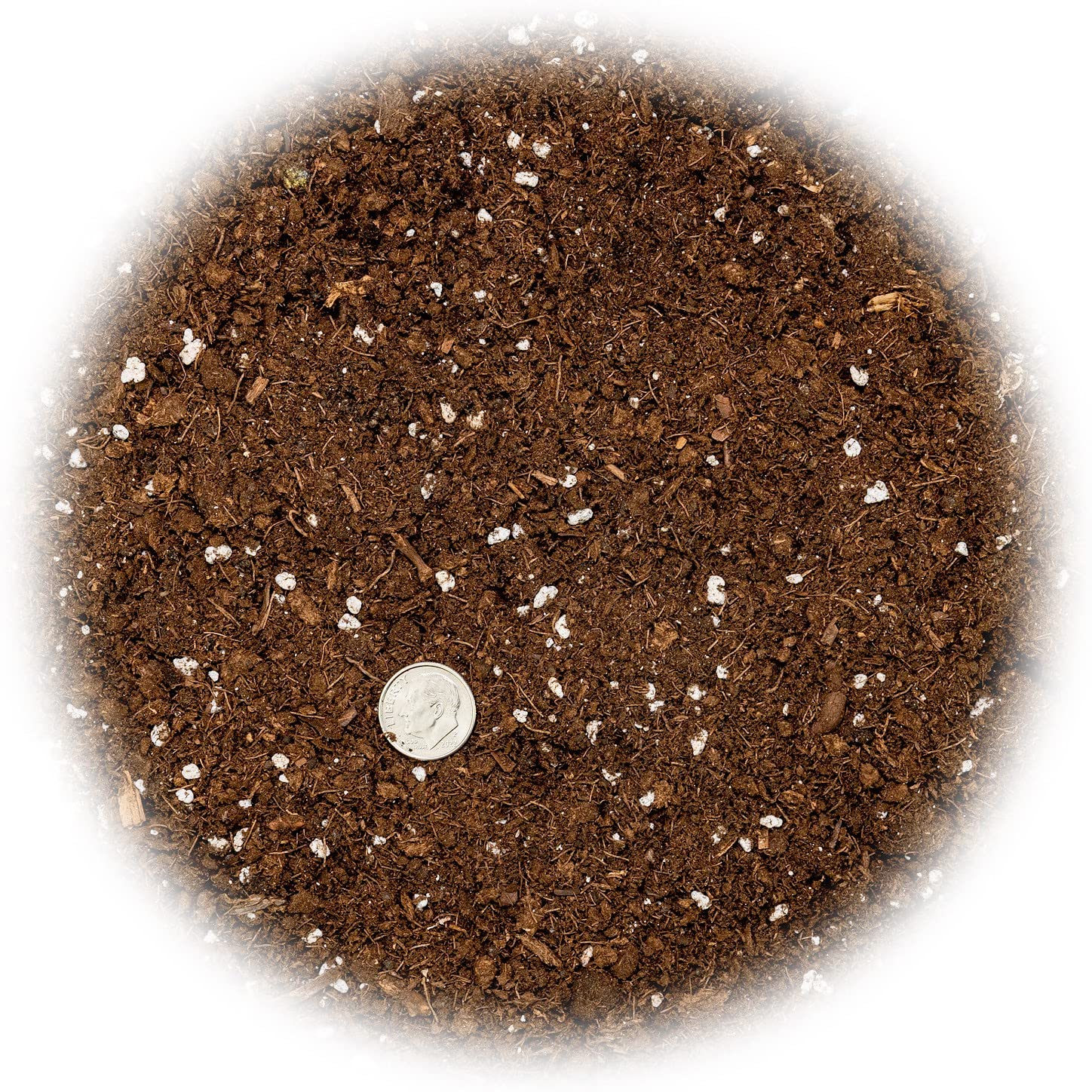 GARDENERA Money Tree Potting Soil, Soil Mix for Planting or Repotting Guiana Chestnut, Soil Blended to Properly Grow Money Tree Plants - (1 Quart Bag)