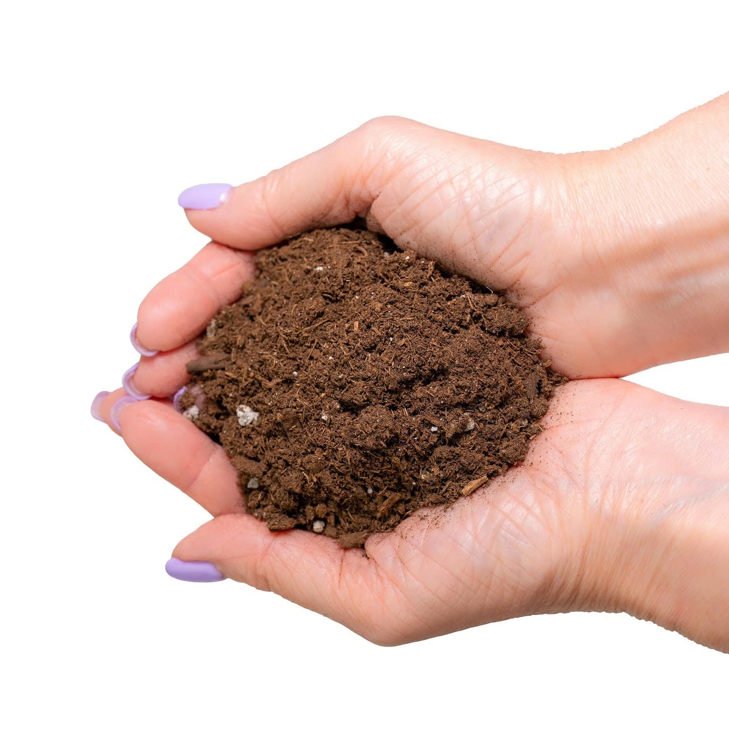 GARDENERA Money Tree Potting Soil, Soil Mix for Planting or Repotting Guiana Chestnut, Soil Blended to Properly Grow Money Tree Plants - (1 Quart Bag)