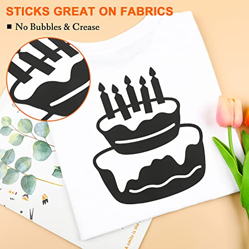 CAREGY Iron on Vinyl Heat Transfer Vinyl Roll HTV (12''x9',Black)