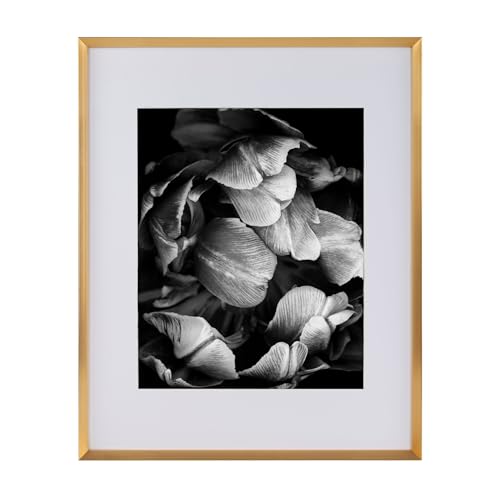 Mikasa Metal Portrait Frame, Displays 11x14 Photo with Mat, 16x20 without Mat, Gold
