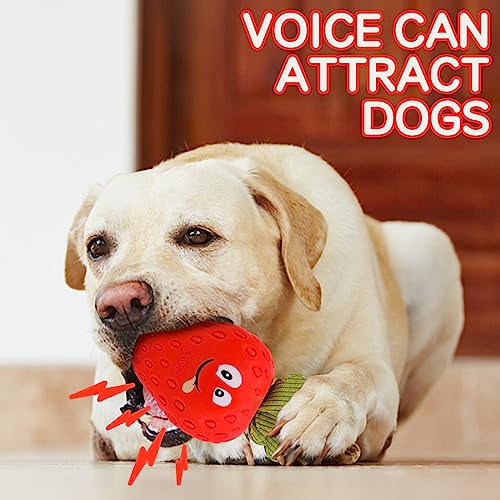 BAPSOUZU Squeaky Dog Chew Toys for Aggressive Chewers, Rubber Indestructible Tough Durable Dogs Toys Interactive Puppy Teeth Clean (Red Strawberry)