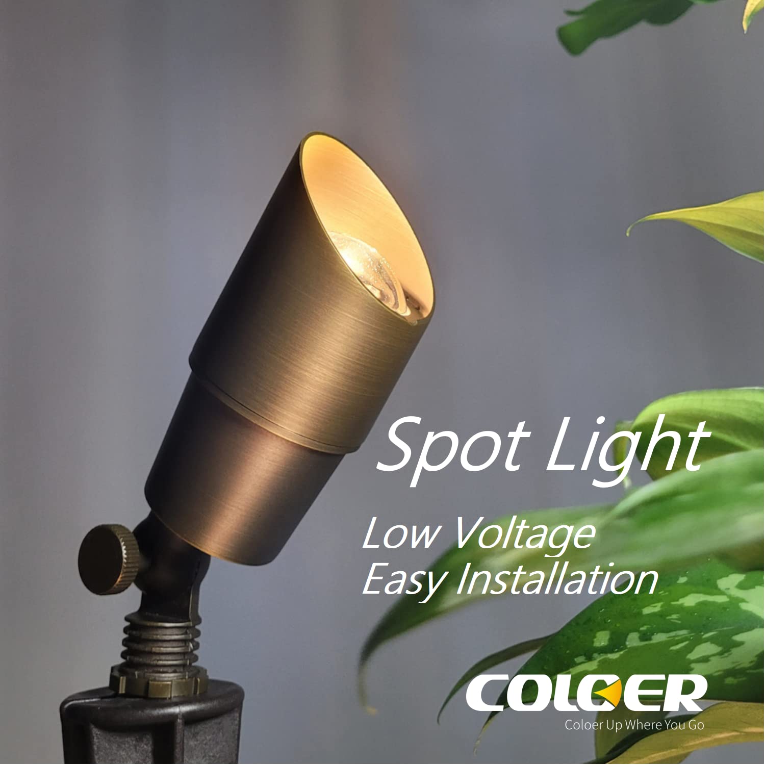 COLOER Die-cast Brass Low Voltage Spotlight 1-Pack with 5W Aluminum Housing MR16 LED Bulb 2700K 450LM CRI85+,12V AC/DC Outdoor Landscape Lighting, Directional Garden Patio Spot Up Light(101B)
