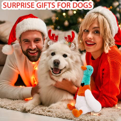 REQIHO Squeaky Dog Toys - Durable Plush Duck Crinkle Paper Stuffed Animal Toys for Small to Large Dogs