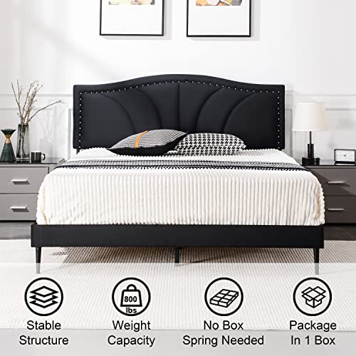 AsKmore Full Size Bed Frame,Velvet Upholstered Platform Bed with Decorative Flower Line & Nailhead Trim Headboard with Wood Slat Support,No Box Spring Needed,Easy Assembly, Black