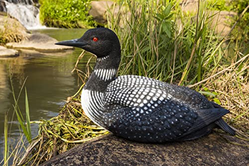 Hi-Line Gift Ltd. Sitting Common Loon Garden Statue