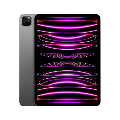 Apple iPad Pro 11-inch (4th Generation): with M2 chip, Liquid Retina Display, 2TB, Wi-Fi 6E, 12MP front/12MP and 10MP Back Cameras, Face ID, All-Day Battery Life â Space Gray