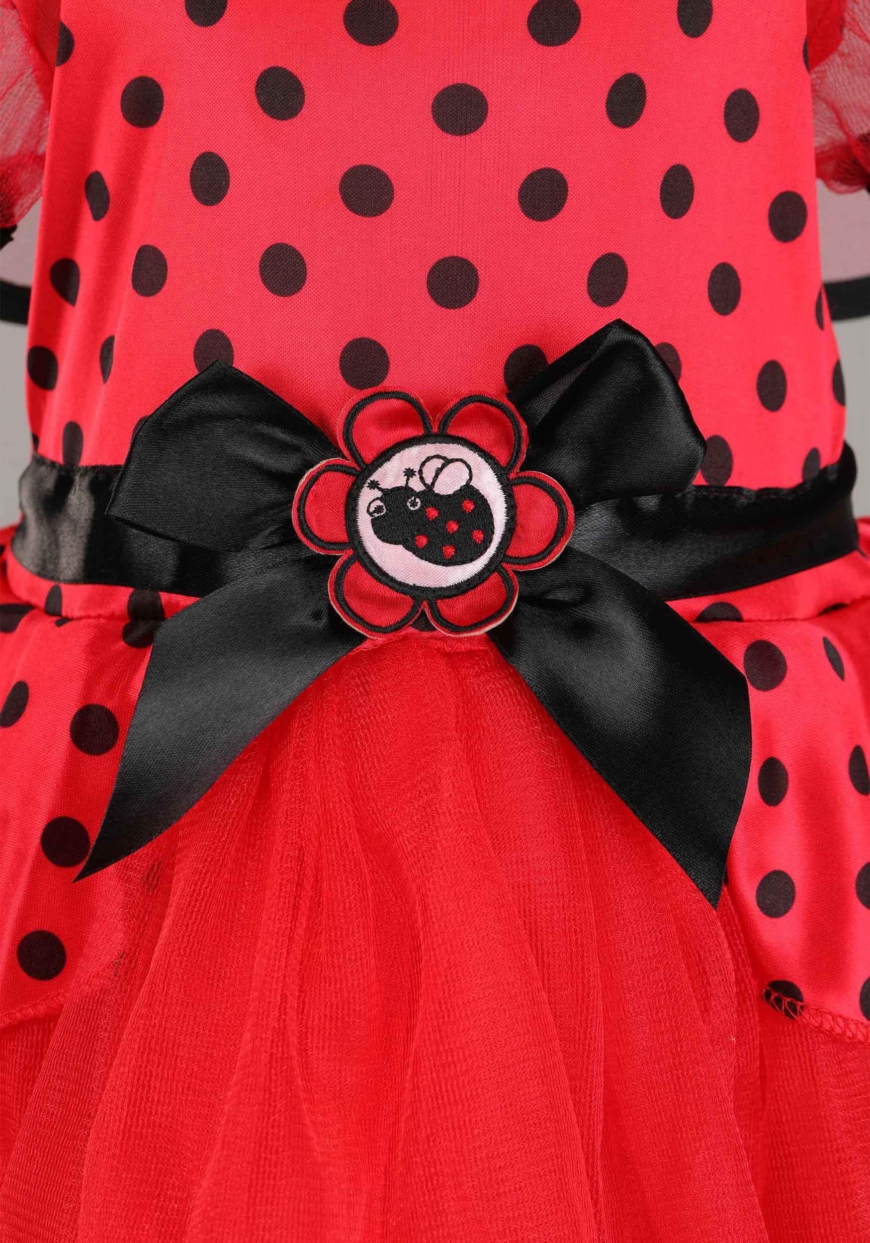 Infant Little Ladybug Costume - 2T/4T