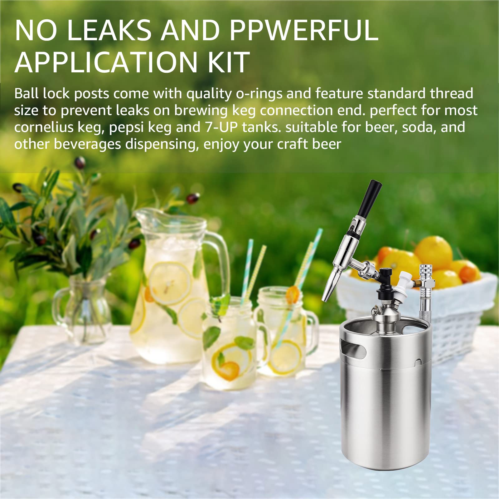 MRbrew 2 Pair Ball Lock Keg Post, Stainless 304 Homebrew 19/32ββ-18 Co2 Gas kegerator Beer Liquid Cornelius Corny Poppet Spring Spare Sealing O-ring Keg Posts Kit for Brewing Quick Disconnect Fitting