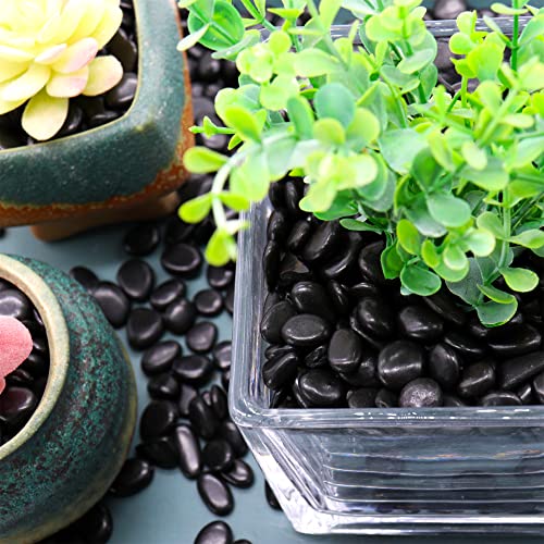 Premium Pebbles Black Rocks for Plants. Polished Decorative Pebbles. 3/8 Inch 2 lbs for Garden, Indoor, Crafting, Succulents, pots, Plants (XSM (0.375 Inch), Black -Polished, 2)