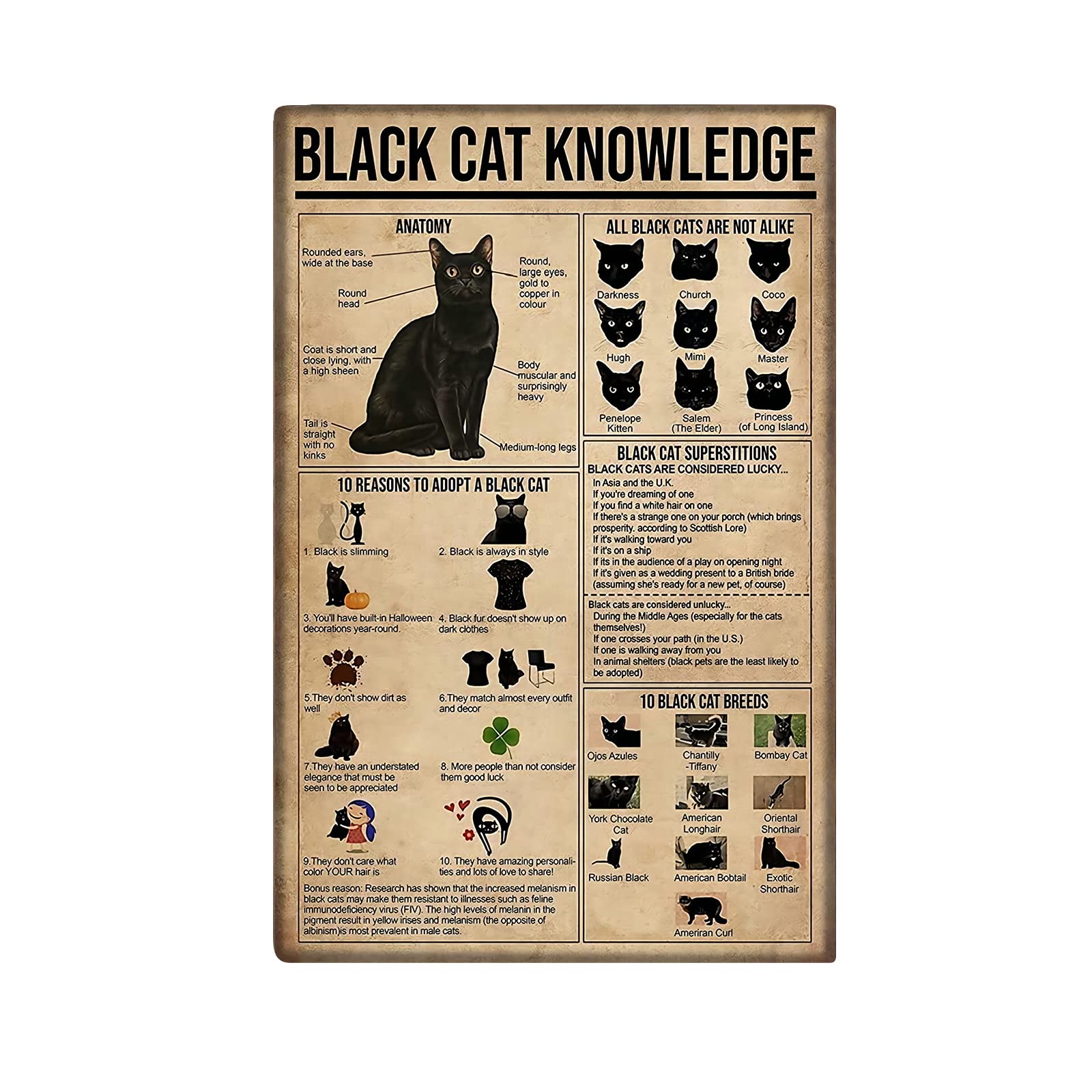 Flechazo Black Cat Knowledge Tin Sign Black Cat Kitchen Decor Poster Cat Smoke Poster Bar Bathroom Bar Garden Home Outdoor Wall Decoration Metal Tin Signs 12x8 Inch,12 x 8 inch
