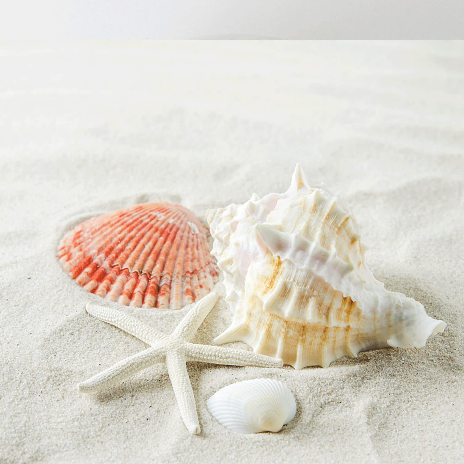JQAQJU Sea Shells Mixed Beach Seashells 20 Kinds, 1.5"-5.5" Various Sizes Large Ocean Shells Conch 2 Kinds Natural Starfish for Decorating Beach Theme Party Fish Tank Filling Home Decor Wedding