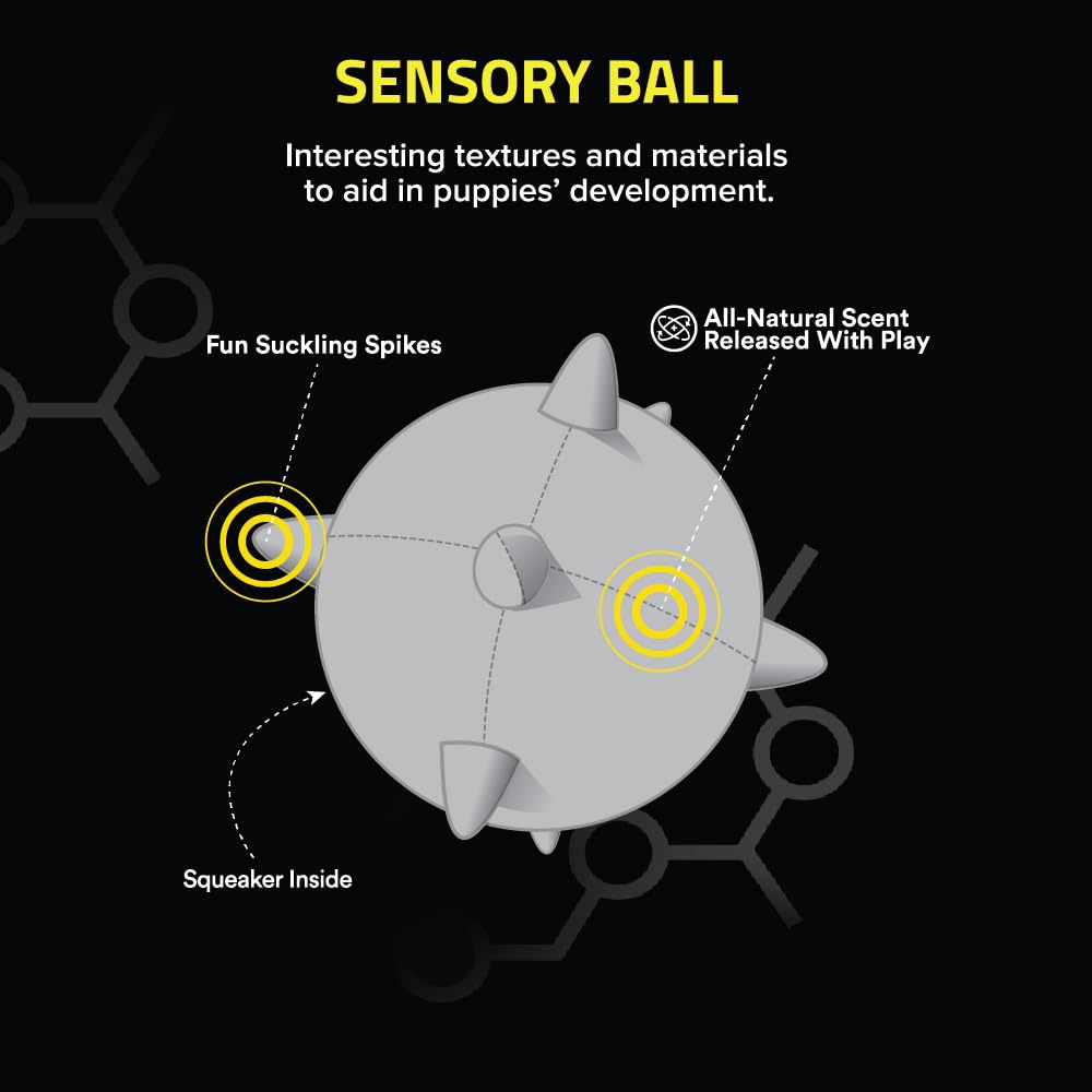 Playology Puppy Dog Ball for Sensory Development | Medium Sized Stuffed Chew Toy with Squeaker for Puppies up to 50lbs | Engaging All-Natural Peanut Butter Scented Sensory Toy