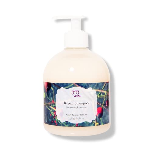 100% PURE Glossy Locks Repair Shampoo Natural Hair Care Moisturizing Detox for Dry Damaged Strands with Biotin & Argan Oil Restoring Shampoo for Women & Men - 16 Fl Oz