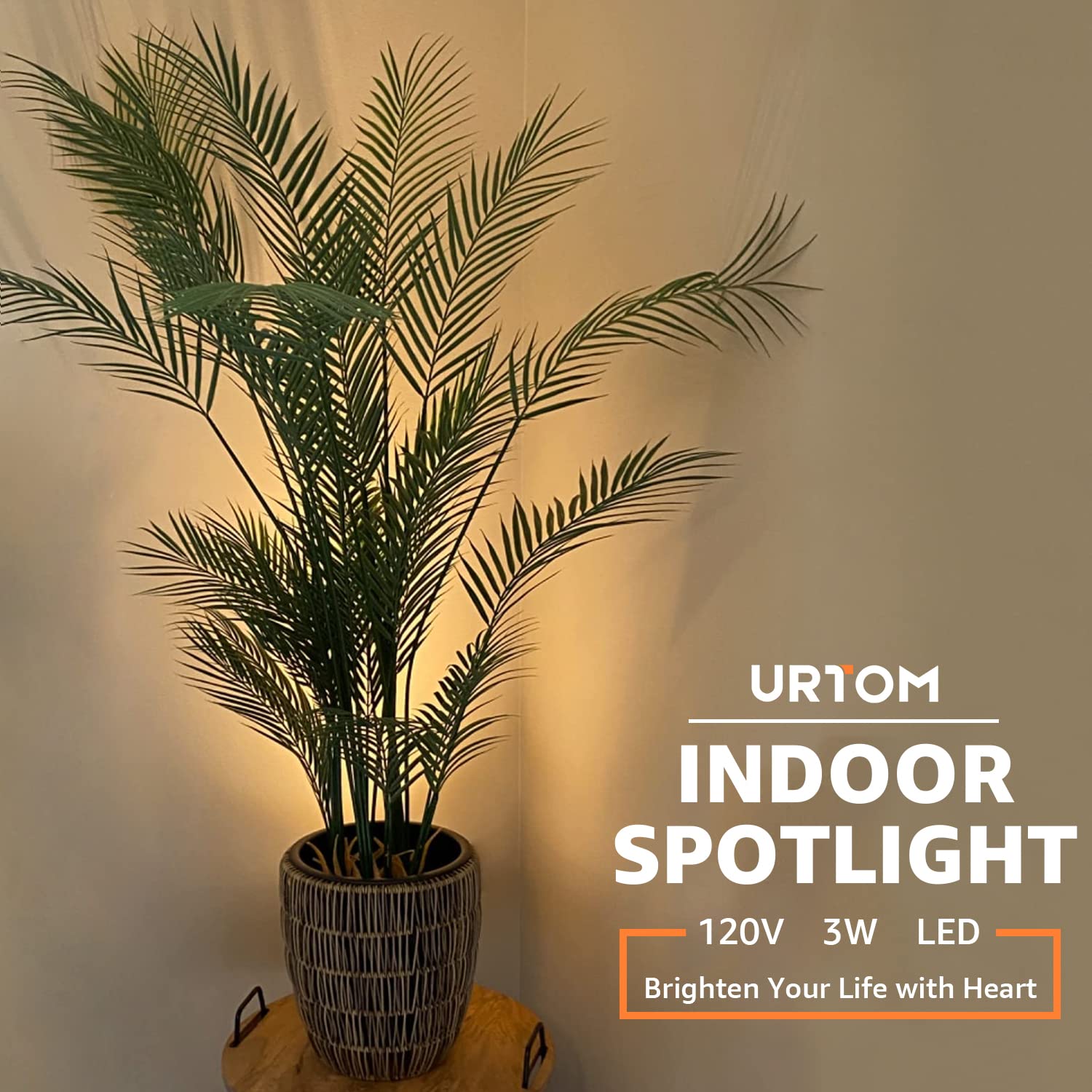 URTOM 2 Pack Indoor Spot Lights, 120V LED Accent Up Lights, 3W Plant Spotlights, 3000K Floor Spotlights for Plants, Pictures, Desk - Uplights with 5.9 FT Plug Cord and Foot Switch