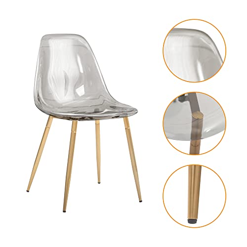CangLong Clear Dining Chairs Set of 4, Modern Kitchen Acrylic Chairs with Transparent Seat, Plastic Accent Side Chair with Metal Legs, for Kitchen, Dining & Living Room, Ash Transparent