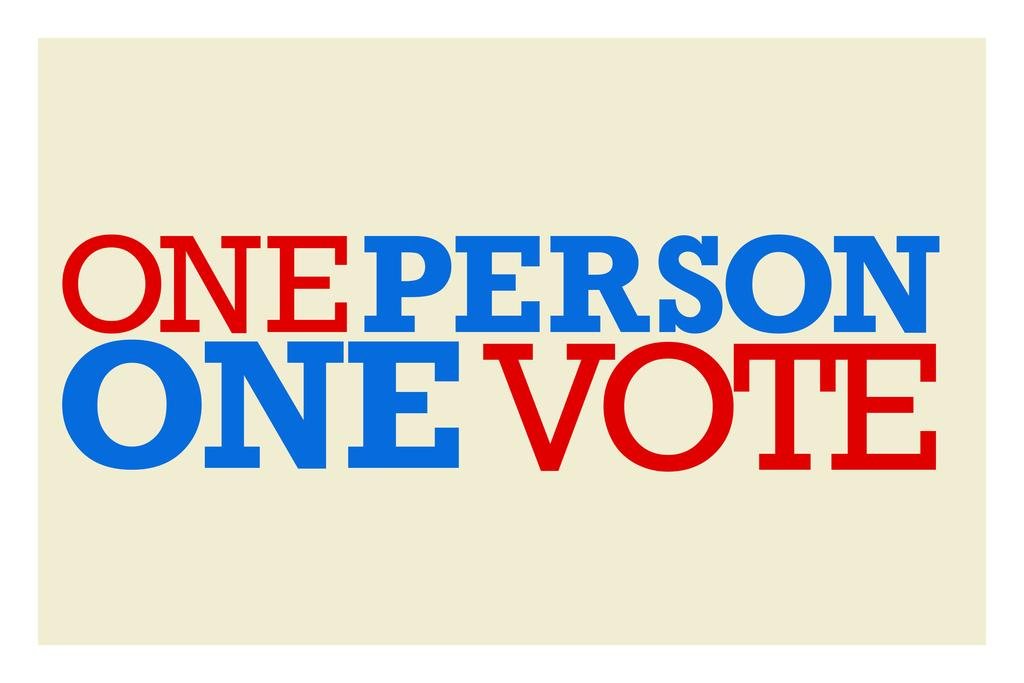 Laminated One Person One Vote Political Campaign 2024 Presidential Election Support Voting Rights Patriot Patriotism American Flag America United States Poster Dry Erase Wall Art 16x24
