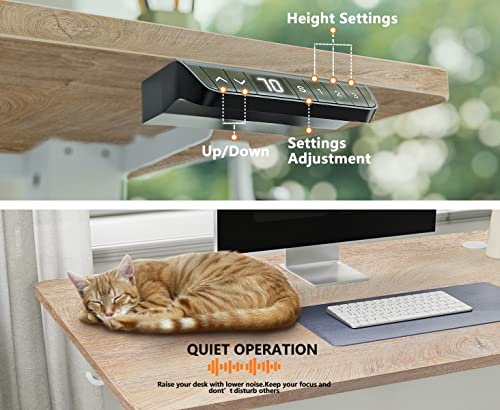 BANTI Standing Desk, 48 x 24 Inch Electric Stand up Height Adjustable Home Office Table, Sit Stand Desk with Splice Board, Maple