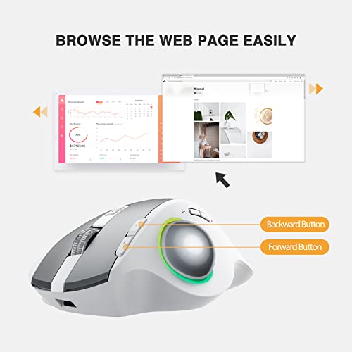 ProtoArc Wireless Bluetooth Trackball Mouse, EM01 2.4G RGB Ergonomic Rechargeable Rollerball Mice, 3 Device Connection&Thumb Control, Compatible for PC, iPad, Mac, Windows-White Silver