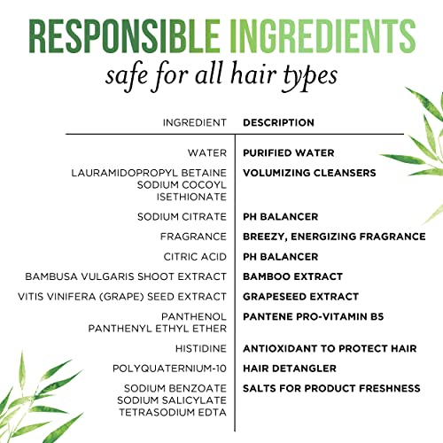 Pantene Sulfate Free Shampoo and Conditioner Set, Volumizing Shampoo and Conditioner for Fine or Flat hair with Bamboo, Safe for Color Treated Hair, Nutrient Blends, 9.6 oz and 8.0 oz