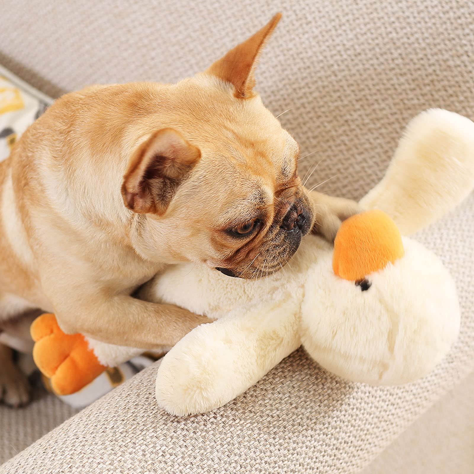 Zerodis Dog Plush Duckling Sounding Toy, Squeak Plush Duck Dog Toy Doggies Teething Puppy Chew Toy for Small Medium Dogs(L)