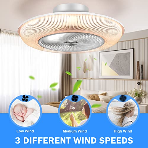 AnEgoe Ceiling Fan with Lights Remote Control, 23'' Large Modern Ceiling Fan 360° Angle Airflow Flush Mount Ceiling Fan with Lights Low Profile Fan for Bedroom Living Room Kitchen