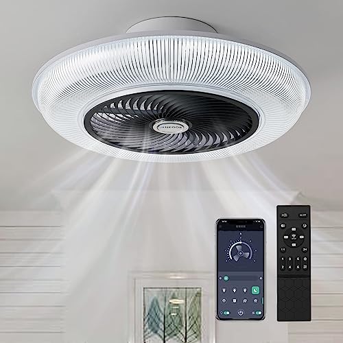 AnEgoe Ceiling Fan with Lights Remote Control, 23'' Large Modern Ceiling Fan 360° Angle Airflow Flush Mount Ceiling Fan with Lights Low Profile Fan for Bedroom Living Room Kitchen