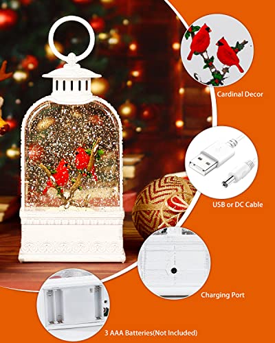 Christmas Cardinal Snow Globes,Musical Lighted with 6H Timer Swirling Glitter, Christmas Decoration Snow Globe Lantern, Red Bird Cardinal Gifts Christmas Decoration Indoor for Home