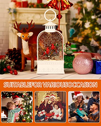 Christmas Cardinal Snow Globes,Musical Lighted with 6H Timer Swirling Glitter, Christmas Decoration Snow Globe Lantern, Red Bird Cardinal Gifts Christmas Decoration Indoor for Home