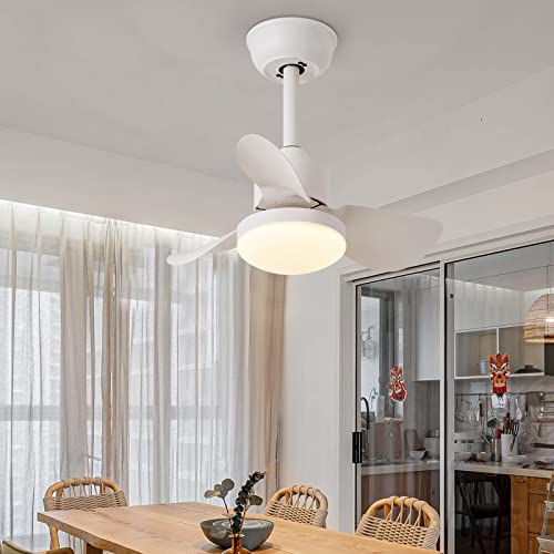 EMIKIRII Ceiling Fan with Lights and Remote,21'' Small Modern Ceiling Fan,Smart APP Control,Dimmable Metal Blades Flush Mount Quiet Mini Ceiling Fans Lights for Kitchen Dining Room Bedroom