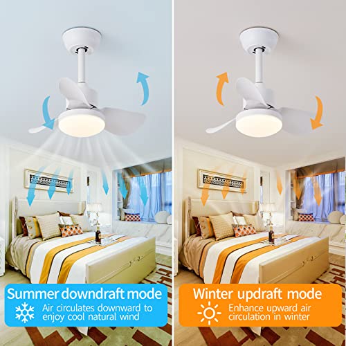 EMIKIRII Ceiling Fan with Lights and Remote,21'' Small Modern Ceiling Fan,Smart APP Control,Dimmable Metal Blades Flush Mount Quiet Mini Ceiling Fans Lights for Kitchen Dining Room Bedroom