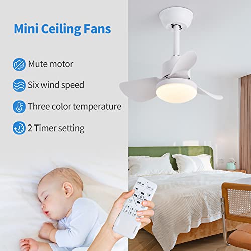 EMIKIRII Ceiling Fan with Lights and Remote,21'' Small Modern Ceiling Fan,Smart APP Control,Dimmable Metal Blades Flush Mount Quiet Mini Ceiling Fans Lights for Kitchen Dining Room Bedroom