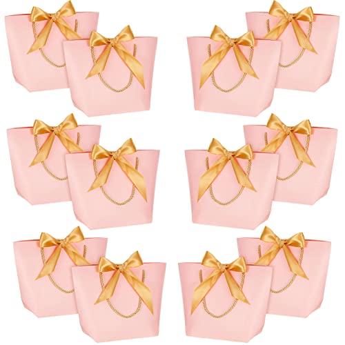 20 Pieces Gift Bags with Handles Paper Party Favor Bag with Bow Ribbon Elegant Gift Bags Gift Bag with Bow Wedding Gift Bags Gift Wrap Bags for Birthday Bridesmaid Welcome Wedding (Large, Pink)