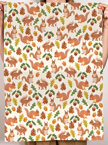 CENTRAL 23 Fall Wrapping Paper - Squirrels - Acorns - Wrapping Paper Baby Shower - 6 Sheets Eco Gift Wrap - Comes With Fun Stickers - Recyclable