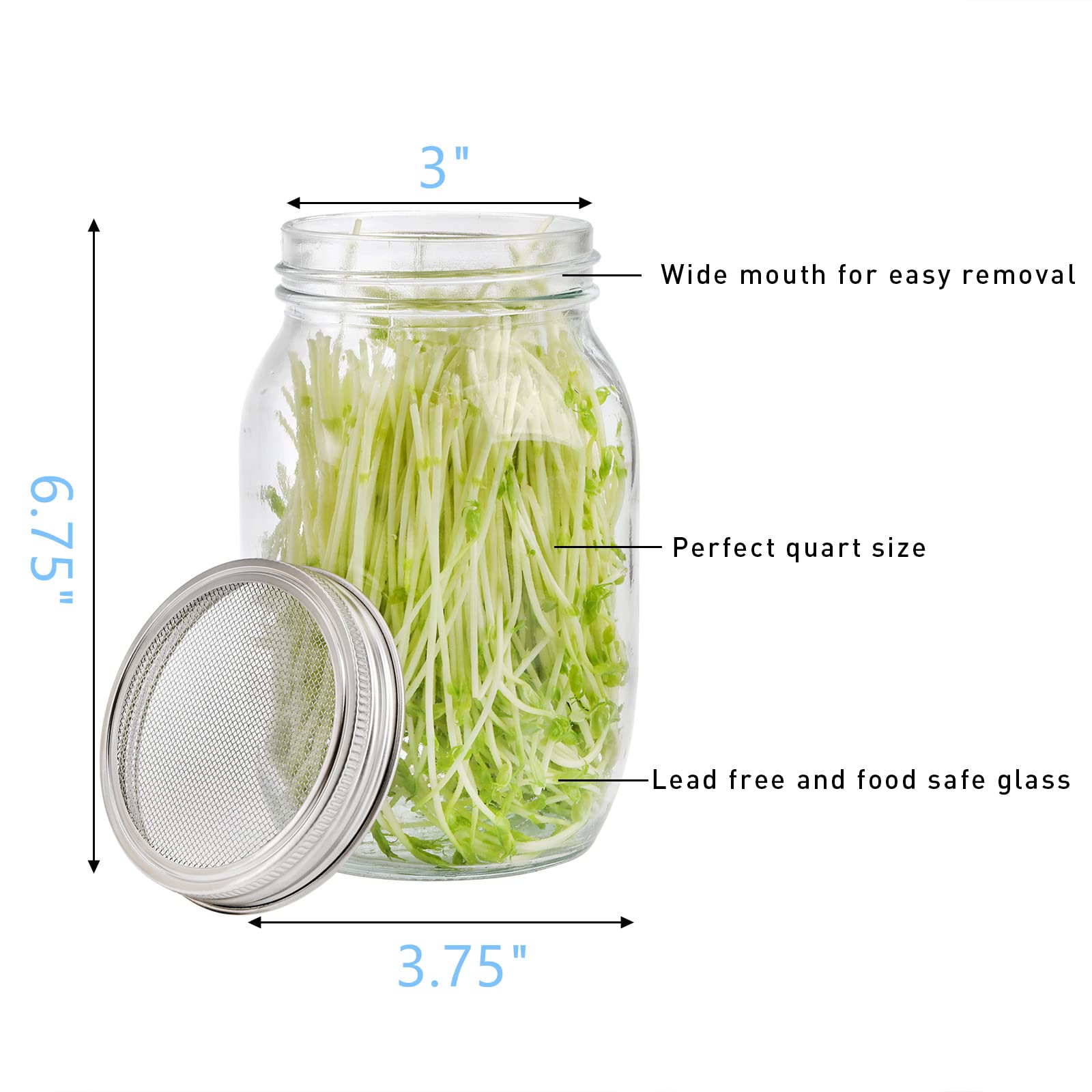 Tebery Complete Mason Jar Sprouting Kit - 2 Wide Mouth Quart Sprouting Jars with 316 Stainless Steel Screen Sprouting Lids, Melamine Tray and Stand | Seed Sprouter Set for Broccoli, Alfalfa, Mung Bean