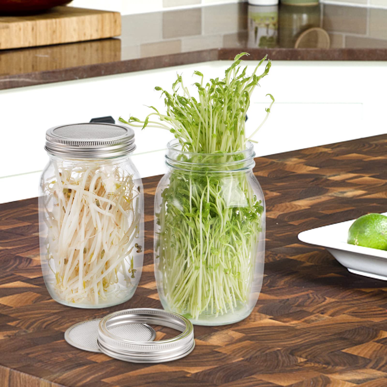 Tebery Complete Mason Jar Sprouting Kit - 2 Wide Mouth Quart Sprouting Jars with 316 Stainless Steel Screen Sprouting Lids, Melamine Tray and Stand | Seed Sprouter Set for Broccoli, Alfalfa, Mung Bean
