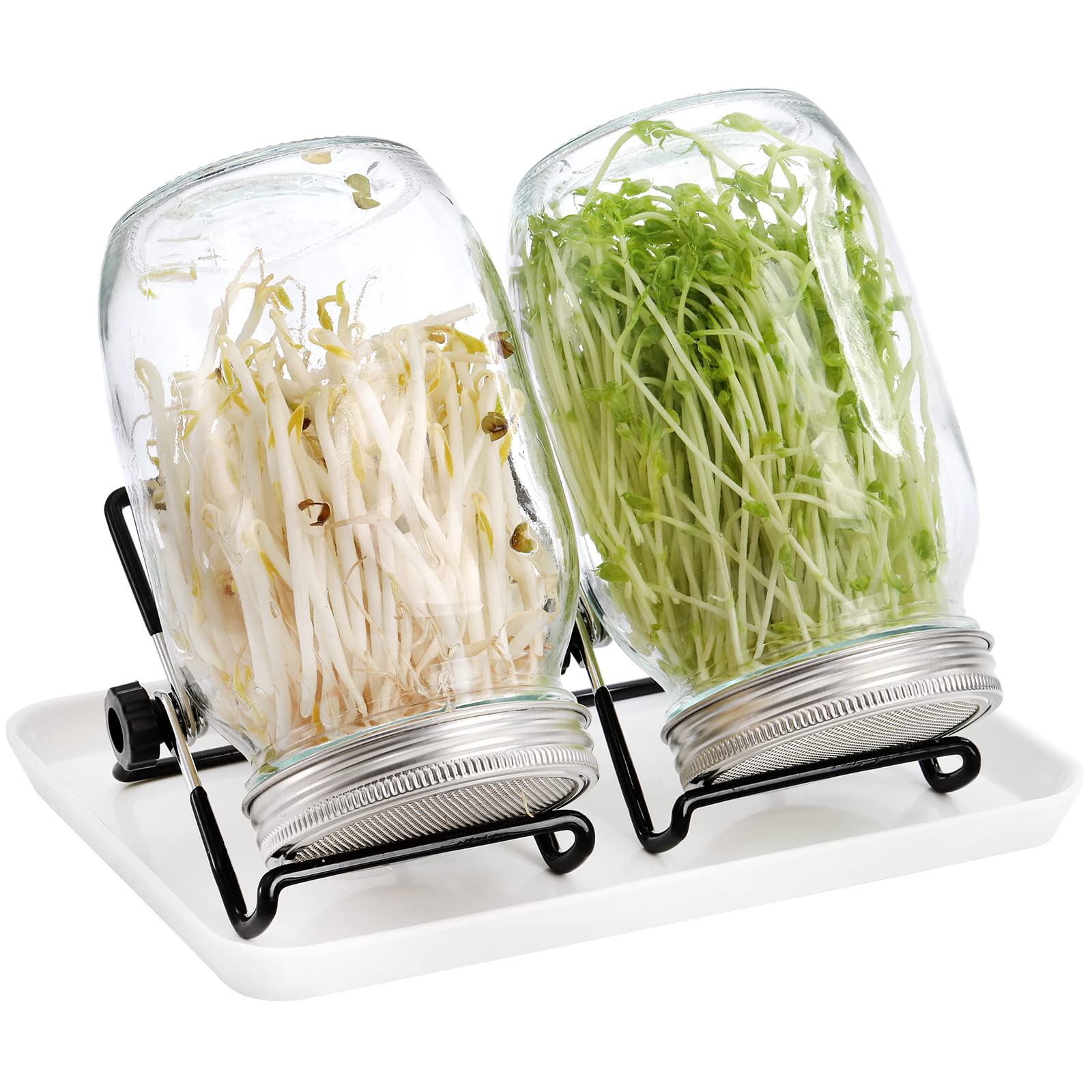 Tebery Complete Mason Jar Sprouting Kit - 2 Wide Mouth Quart Sprouting Jars with 316 Stainless Steel Screen Sprouting Lids, Melamine Tray and Stand | Seed Sprouter Set for Broccoli, Alfalfa, Mung Bean
