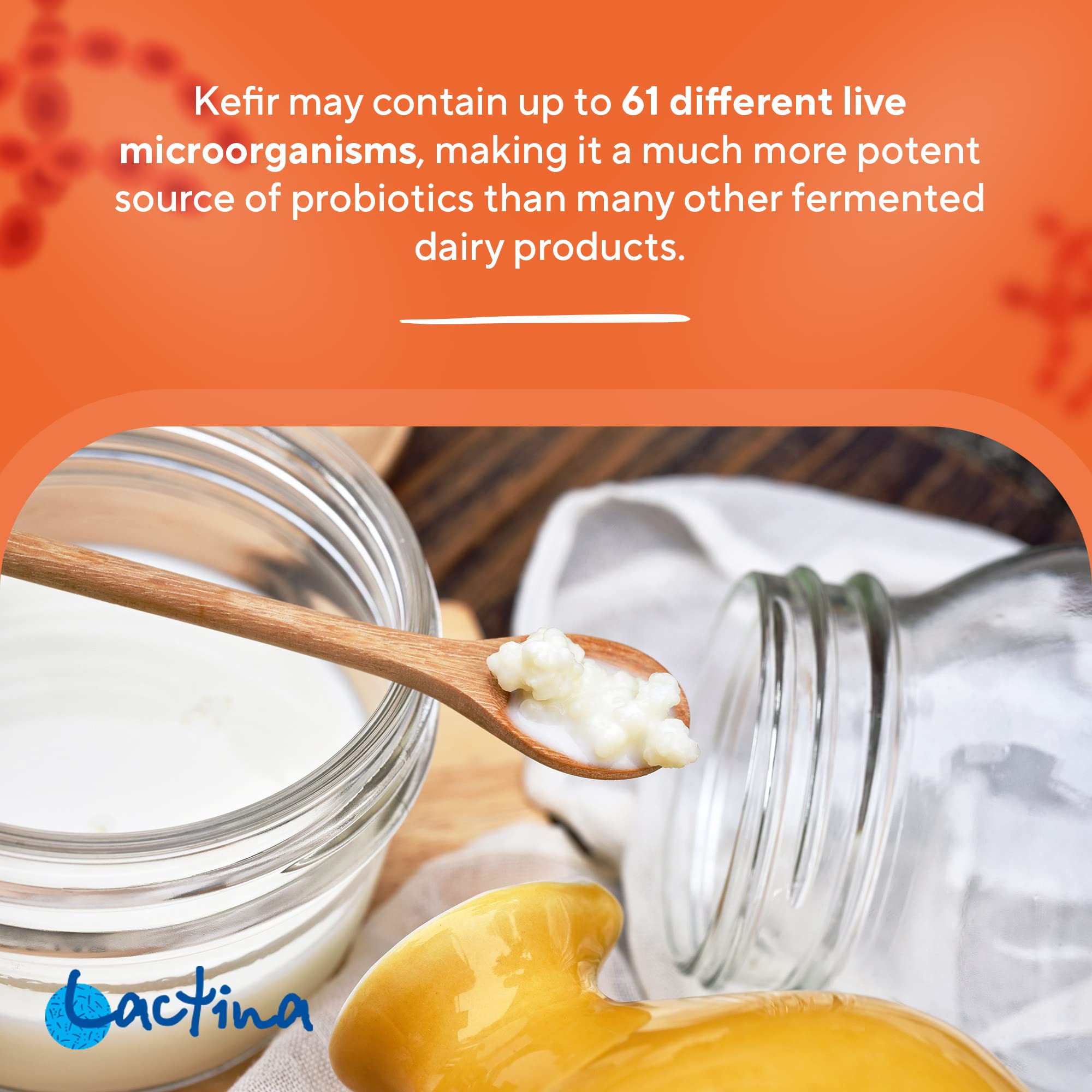 Lactina Kefir Starter Culture Probiotic May Boosts Gut Health and Digestive Wellness Naturally 10 Sachets for 10 Liters