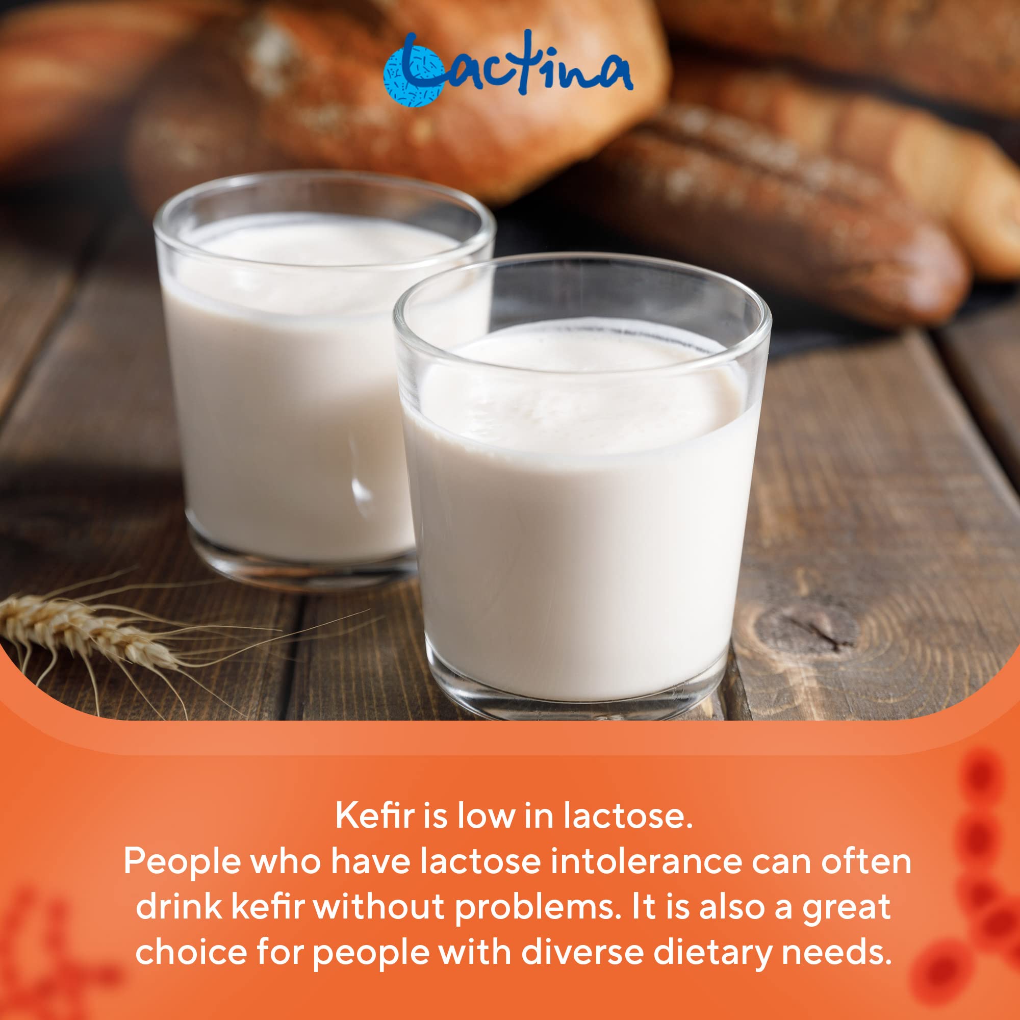 Lactina Kefir Starter Culture Probiotic May Boosts Gut Health and Digestive Wellness Naturally 10 Sachets for 10 Liters