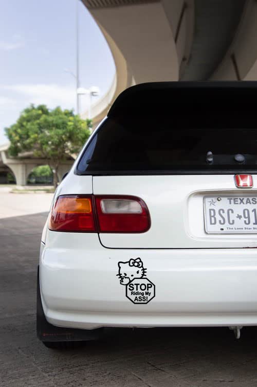 Kitty, Stop Riding, Vinyl Decal, Sticker for Cars, Windows, Laptops and More (Black)