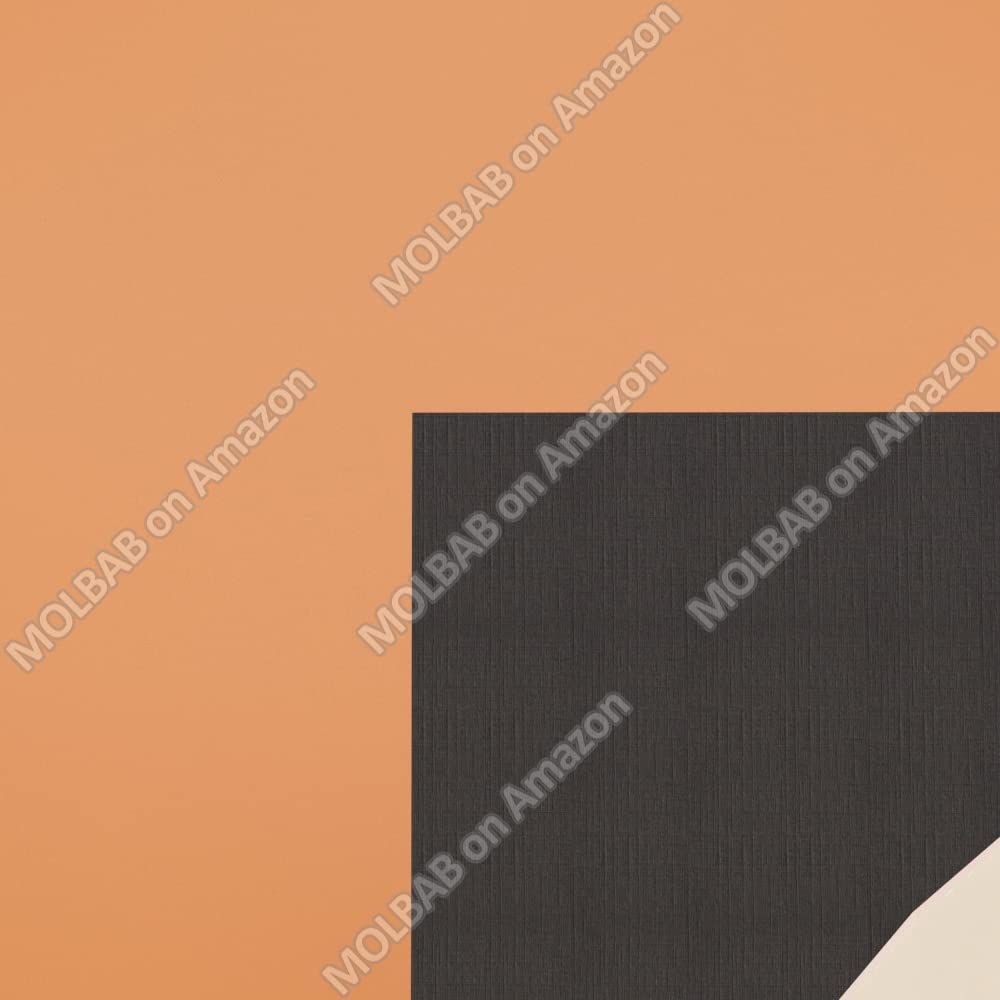 12x12 inch Black Round-Holed Square Paper Picture Frame Mat Board Photo Frame 4 Pieces of Each Pack (For 12x12 inch, Black)